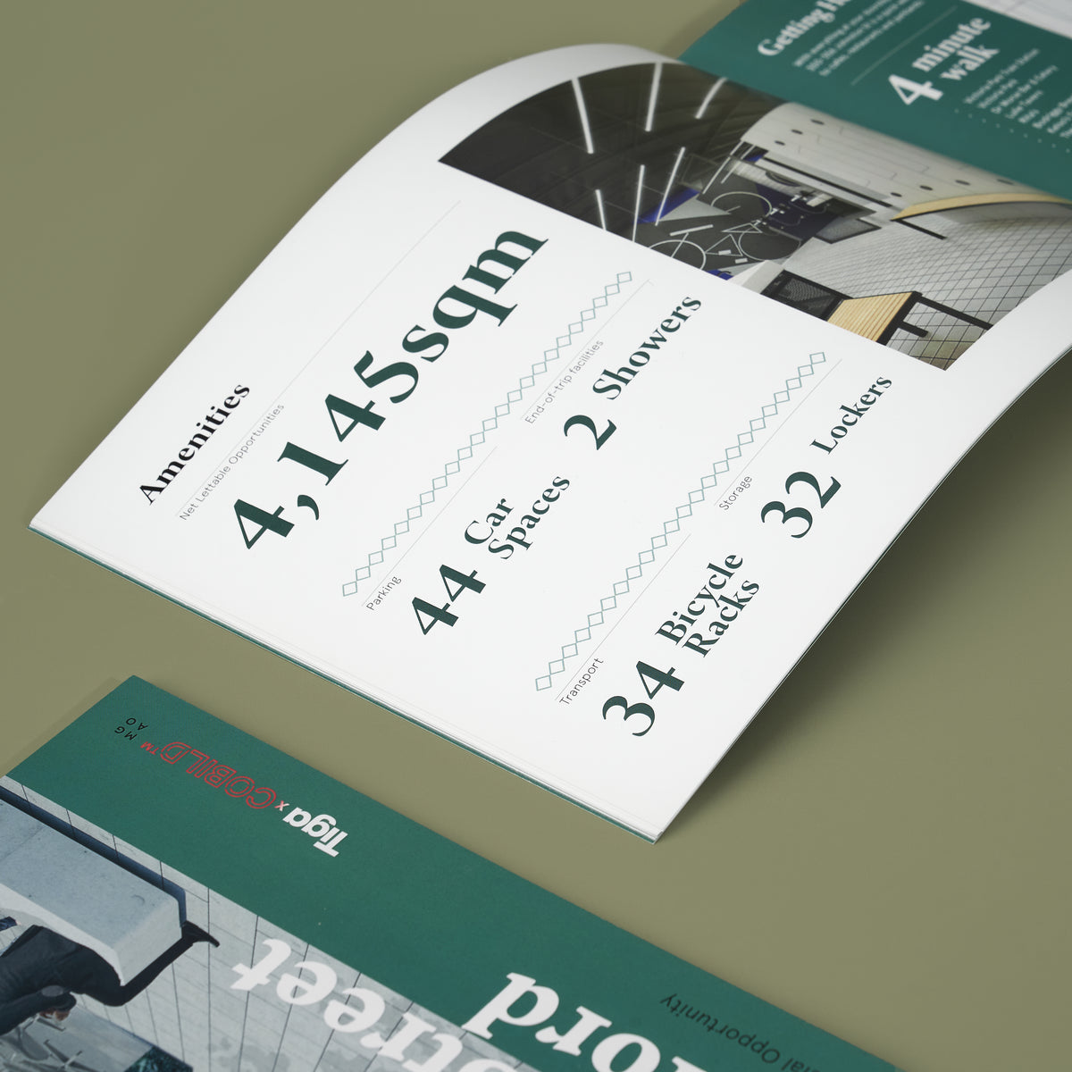 Crafting Captivating Property Brochures (Step-by-Step Guide)