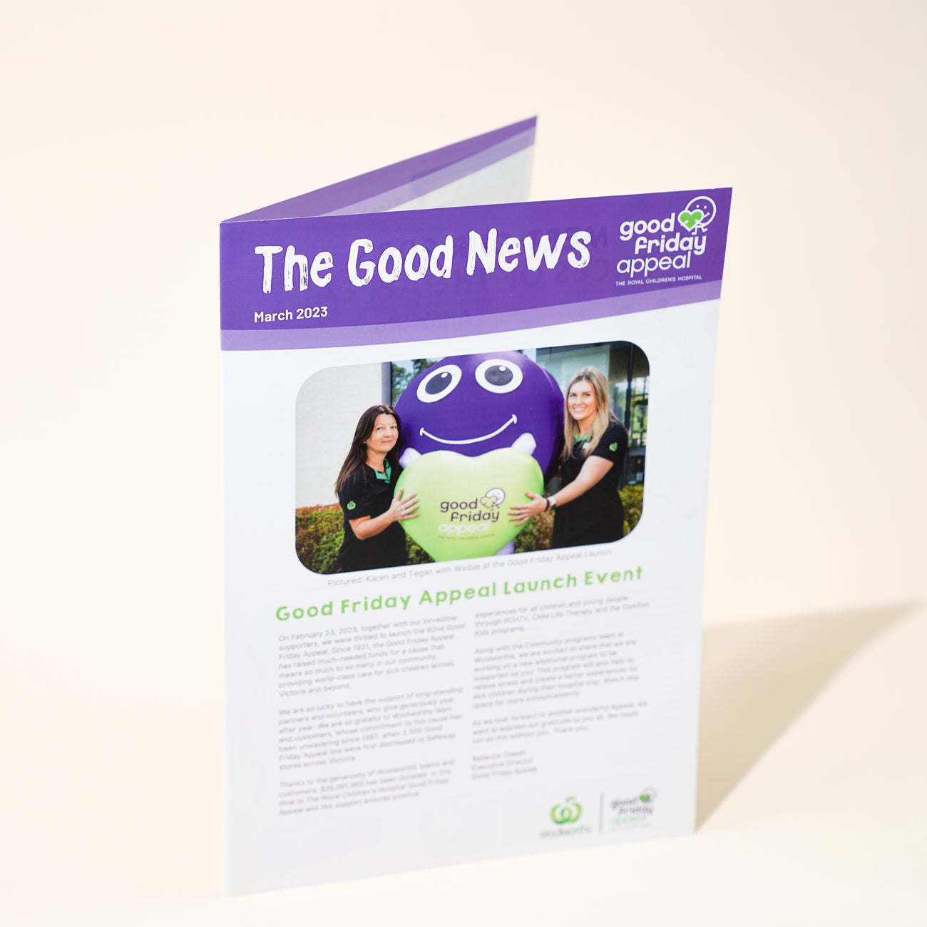 4pp A4 Brochure / Pamphlet